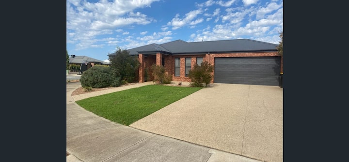 Wagtail Wonder - Shepparton