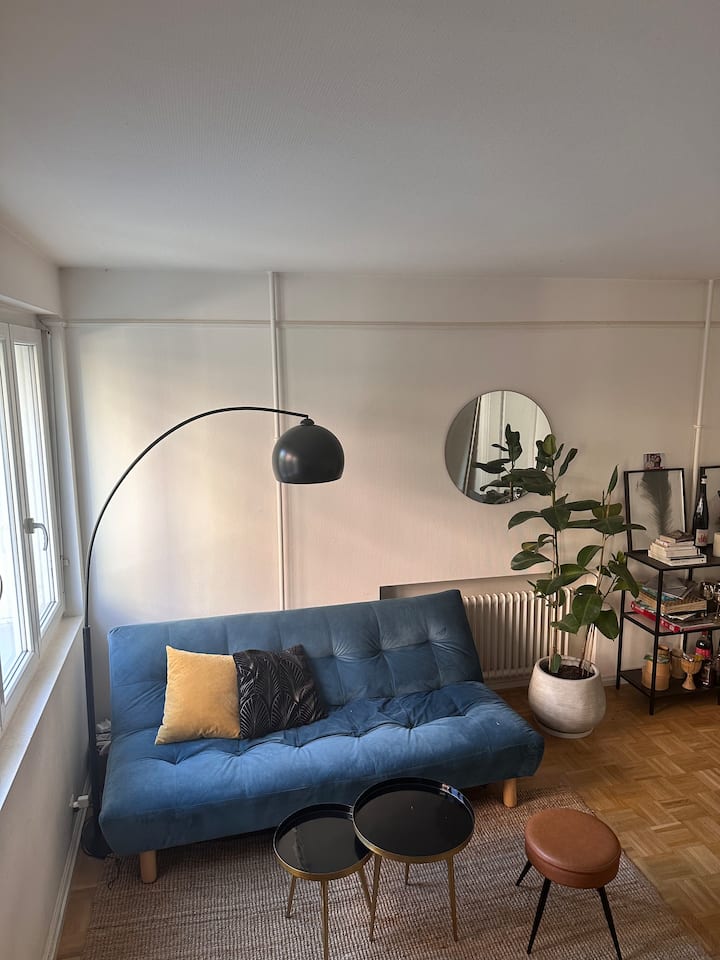 Appartement Au Cœur De Lausanne - Lausanne