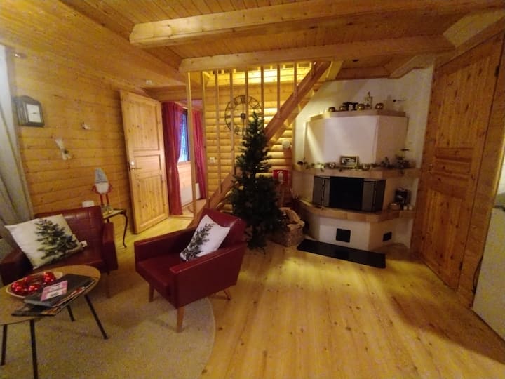 Forest Moments With Winter Sports And Auroras - 