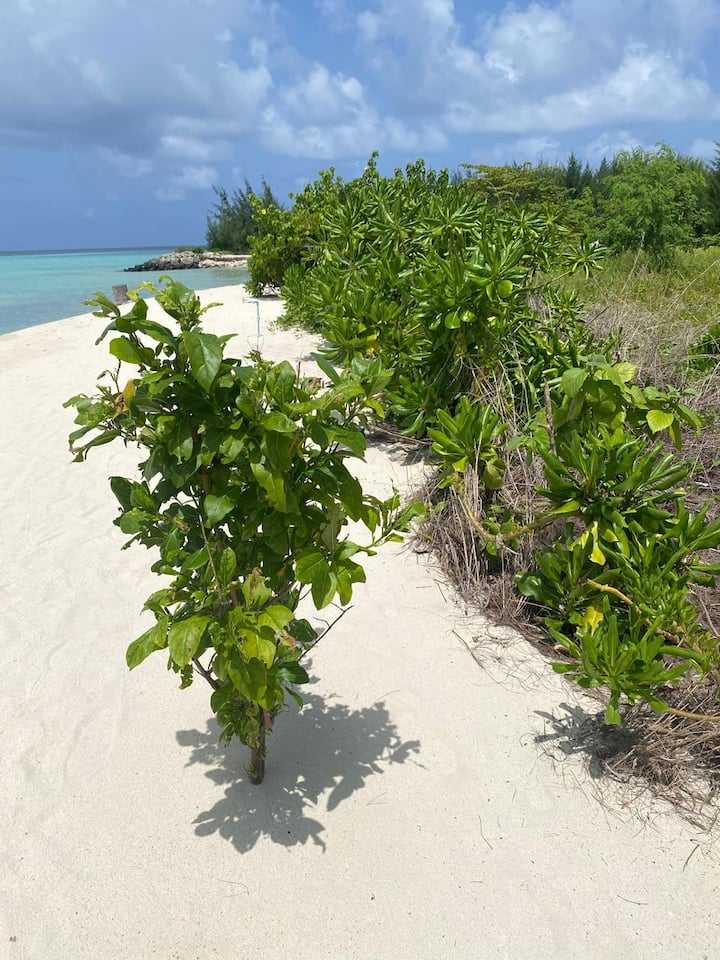 Velidhoo Inn -  Explore The Island Life! - Maldives