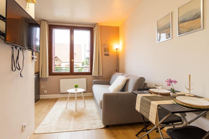 Studio à Champigny-sur-marne – Disneyland Et Paris - Champs-sur-Marne