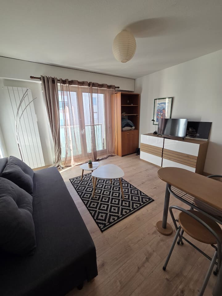 Studio Tout Confort - Pau