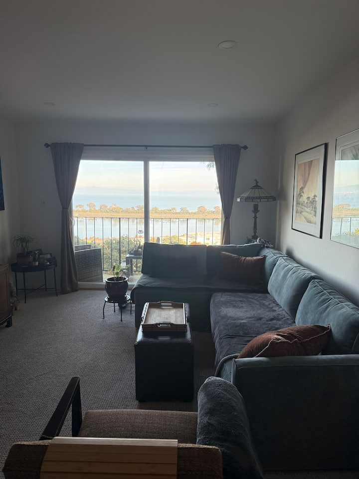Pristine Condo With Amazing Views! - Brisbane, CA