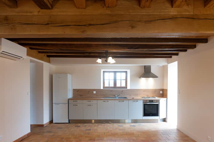 Chateau De La Grange Arthuis - La Colonie - Saint-Fargeau