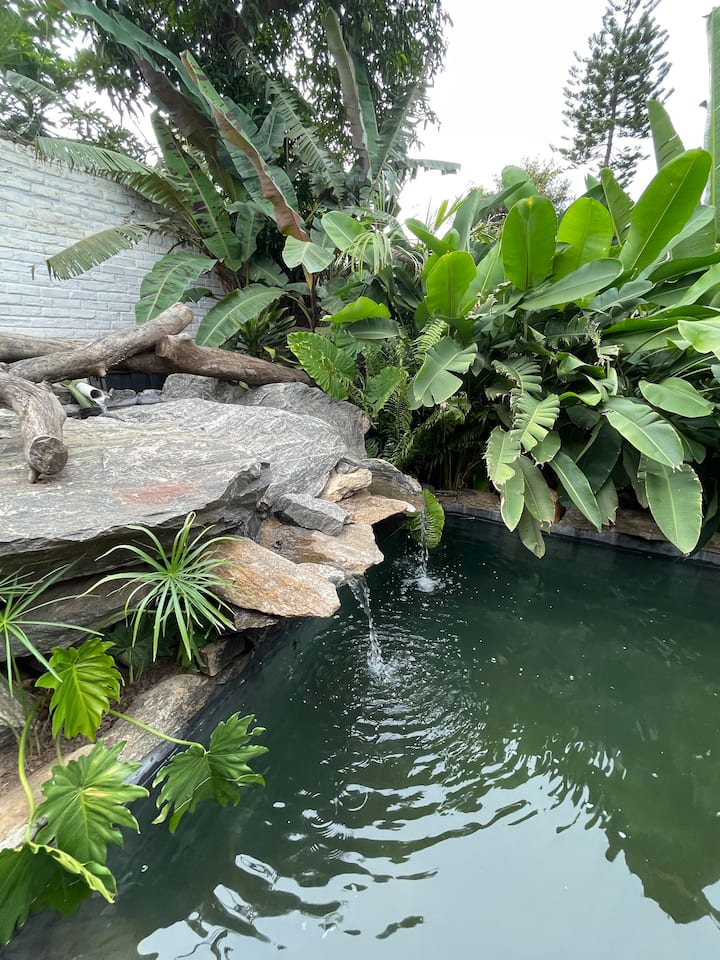 Casa Masamba - Soulful Garden Sanctuary With Café - Malawi