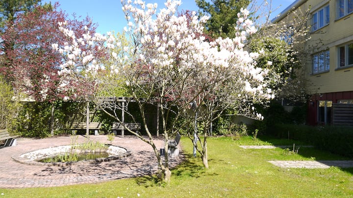 Egen Studio Med Hotellkänsla - Lund