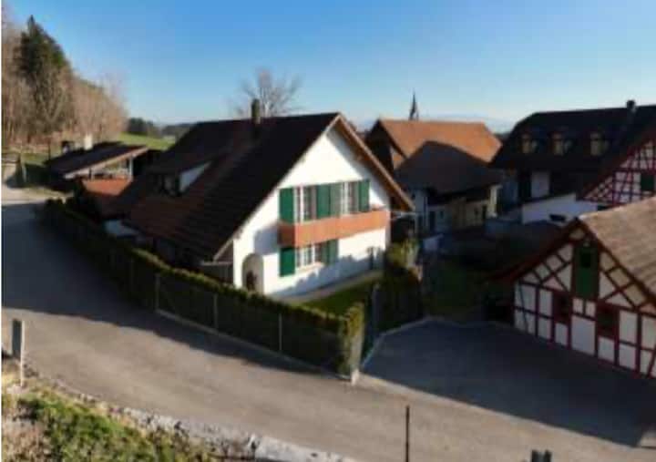 Villa Albis – Grosszügiges Haus In Der Natur - Steinhausen