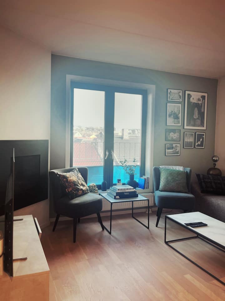 Hyggelig Leilighet Med Sentral Beliggenhet - Oslo