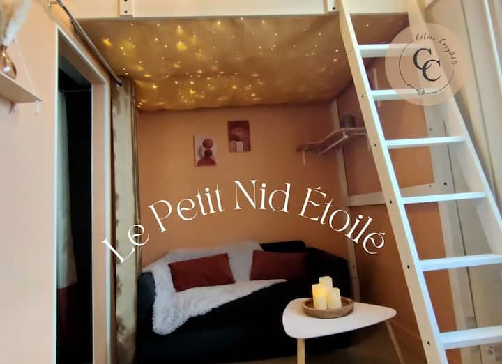 Le Petit Nid Etoilé - Gare/ Jardin Botanique, Wifi - Évreux