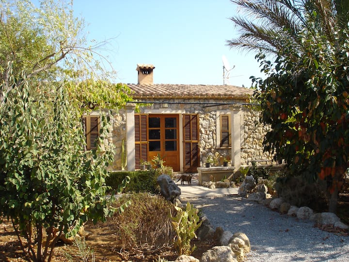 Villa Les Palmeres-piscina Ideal Al Atardecer - Pollensa