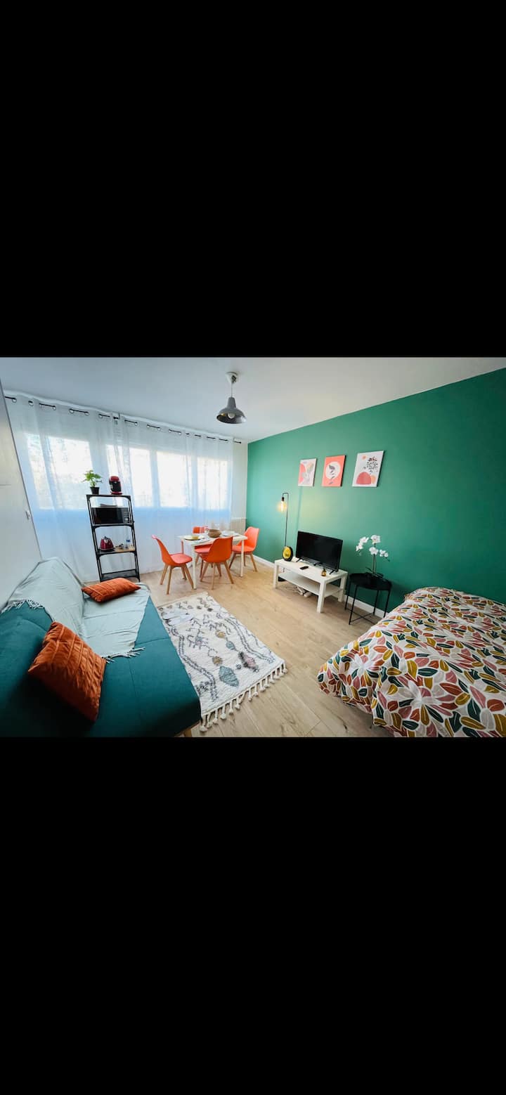 L’ivoire De La Défense – Studio Houilles - Parking - Houilles