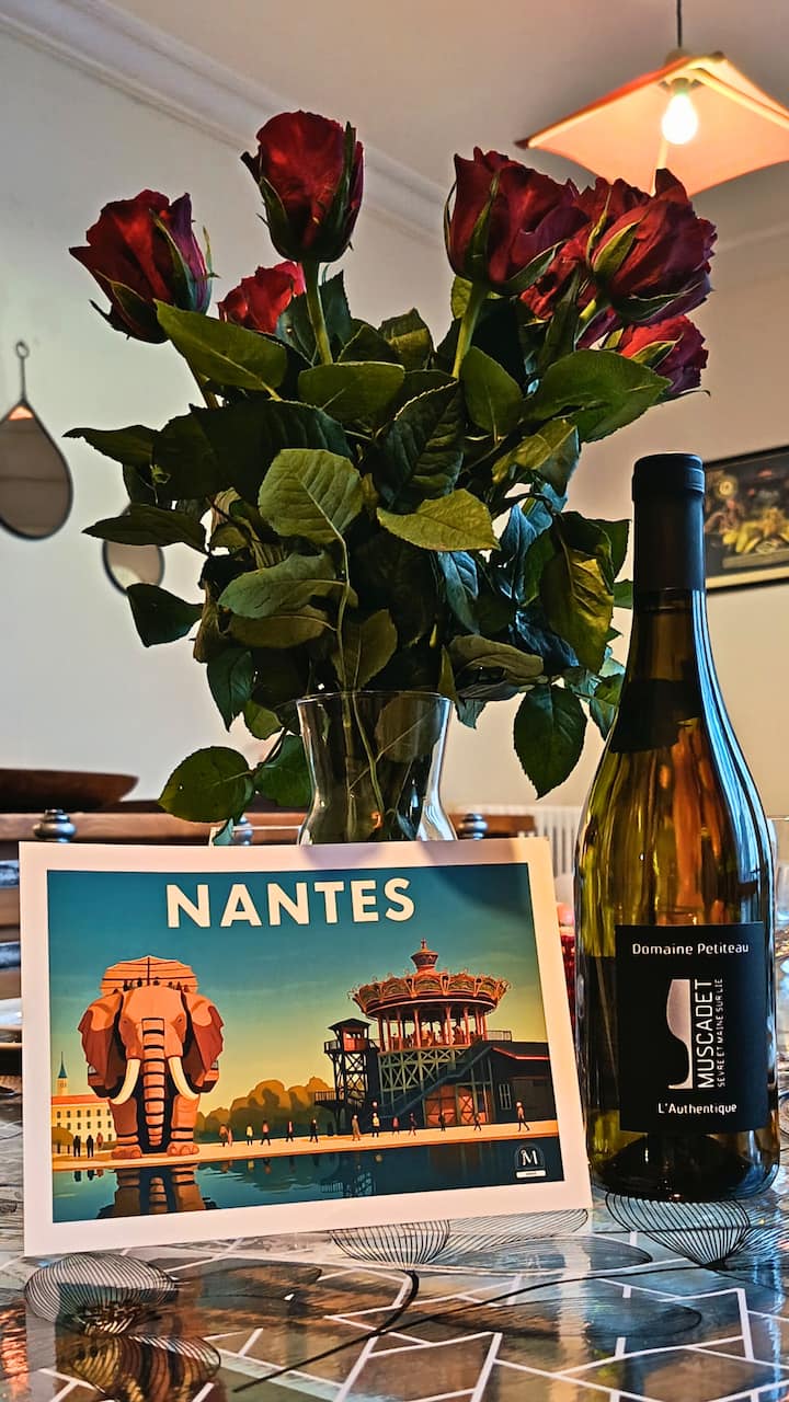 Appartement T3 Quartier Graslin - Nantes