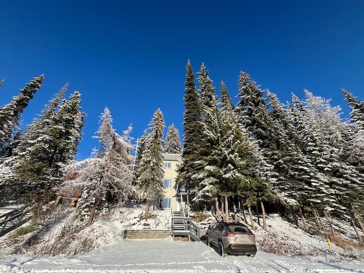 Charming Cabin W/hot Tub, Ski-in/out, Pet Friendly - Armstrong