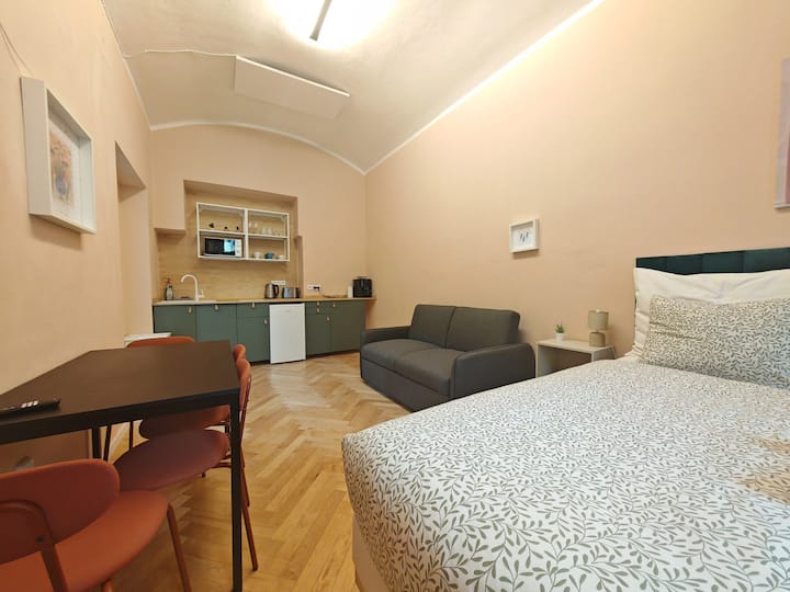 Spacious, Light Studio Apartment In Vinohrady - Praga