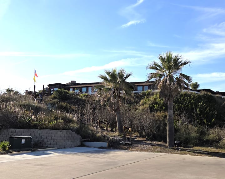 Bsi103-2 Adults/2 Kids, Ocean View, Pool, Dogs Ok - Port Aransas, TX