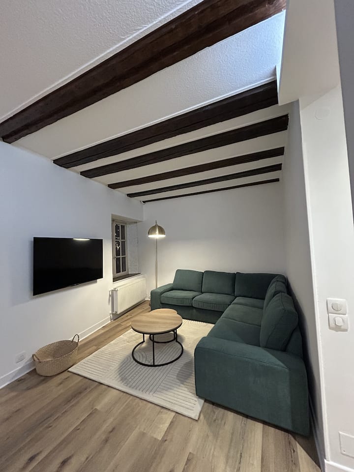 Appartement Centre Ville Historique De Colmar - Colmar