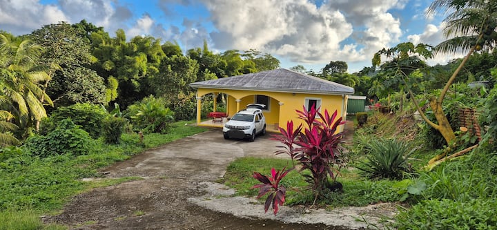 Votre Petit Nid Douillet à La Martinique - Martinique