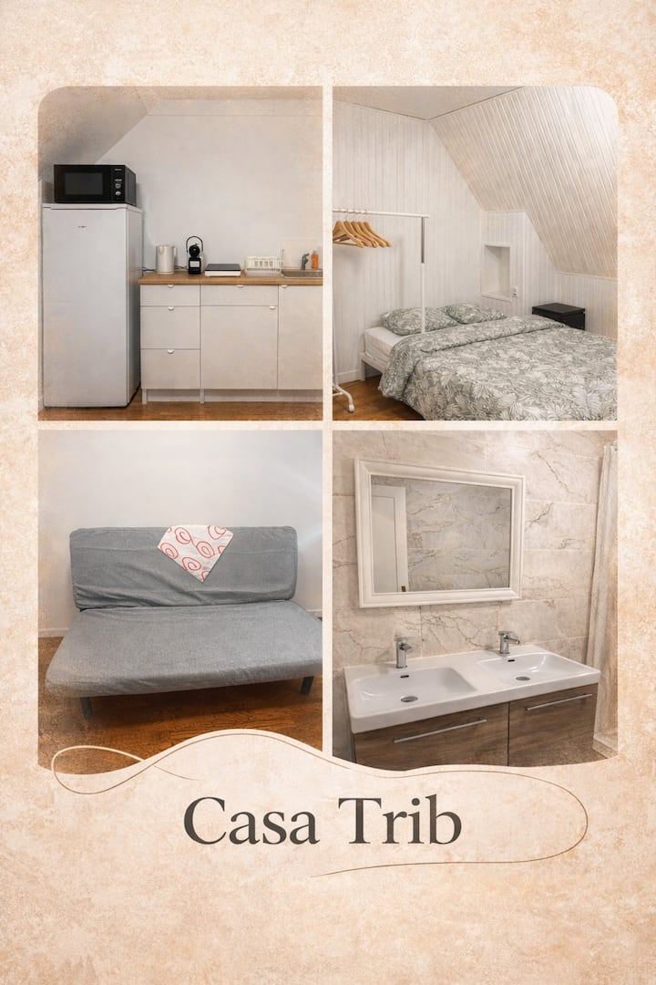 Casa Trib~ Aéroport Cdg~paris~parc Expo~rer~disney - Parc Des Expositions De Paris Nord Villepinte