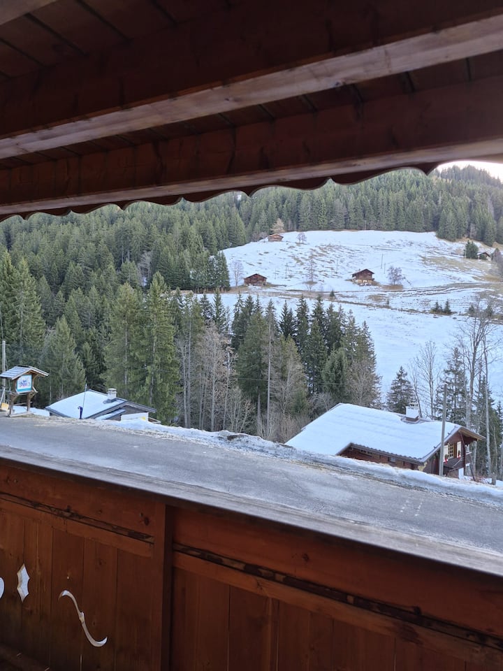 Chambre Double - Balcon - Vue Montagne - Leysin