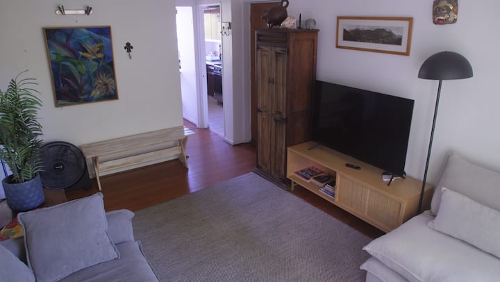 Departamento En Providencia / Cómodo Y Luminoso - Providencia