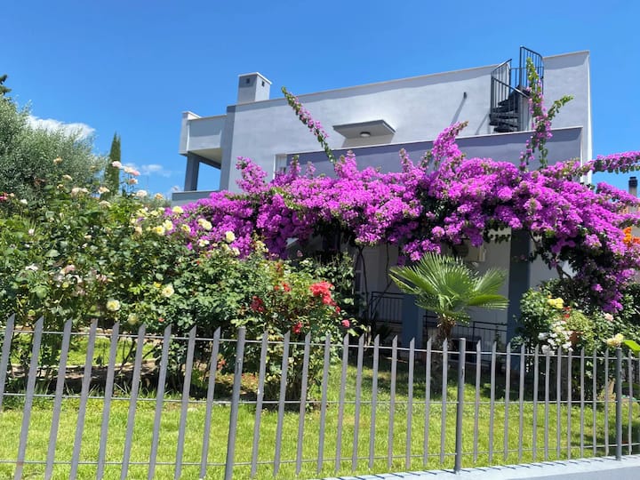 Vila Daniel - Pula