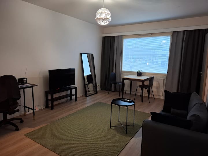 Yksiö Yliopiston Vieressä - Joensuu