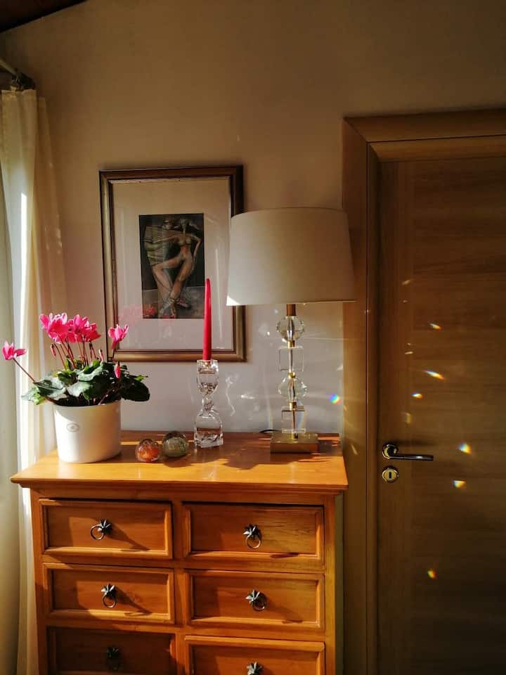 Ap.art, Estate Under The Paintbrush,rukavac, Vis - Vis