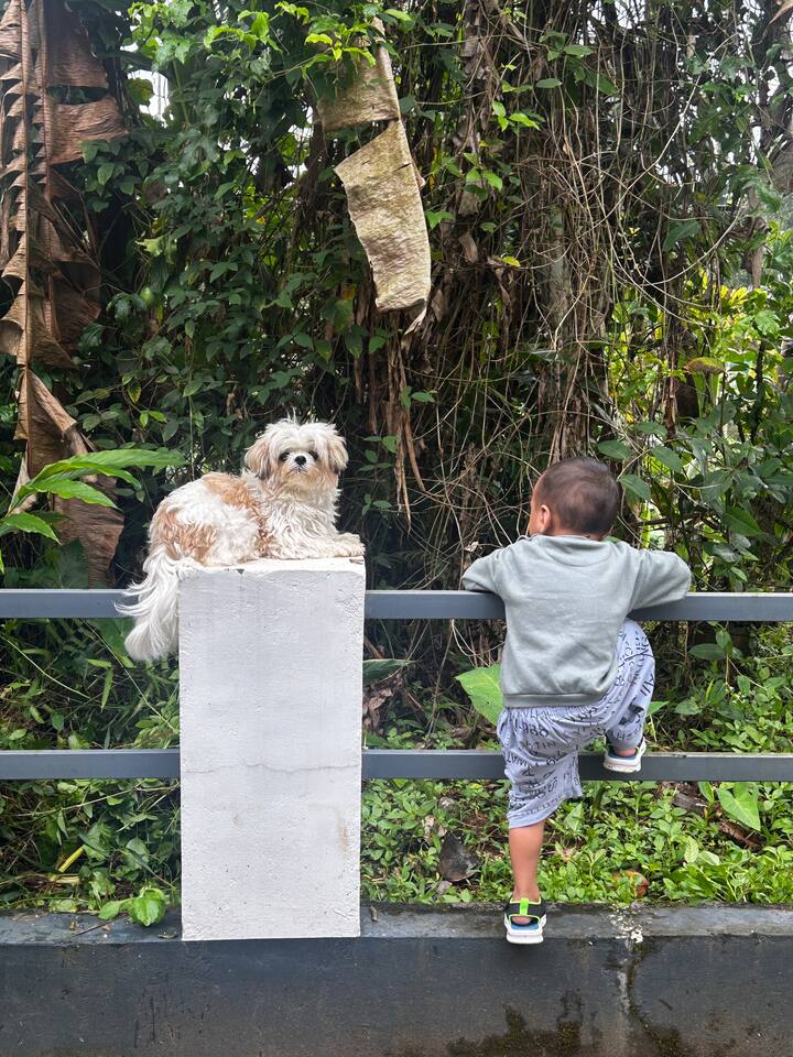 Ambalavayal Holiday Home - Kerala