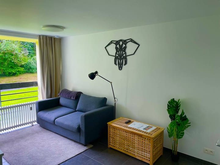 The Budget Nature Studio *3 Countries*free Parking - Kelmis