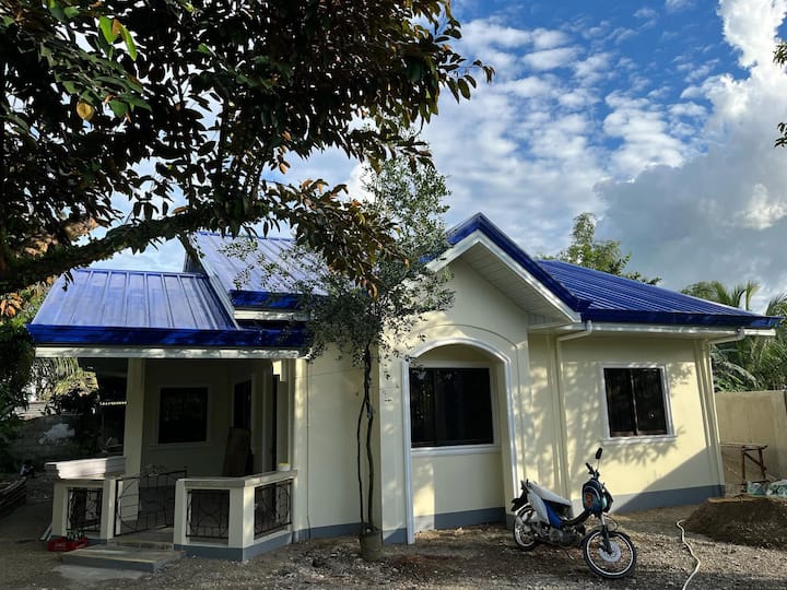 Whole House Good For 6 Pax - Balamban