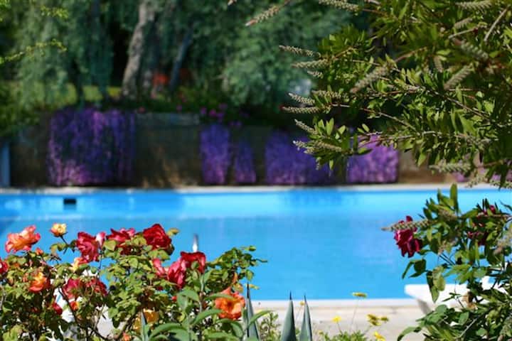 Sole Maremma Monolocale 2 Letti Comfort - Castiglione della Pescaia