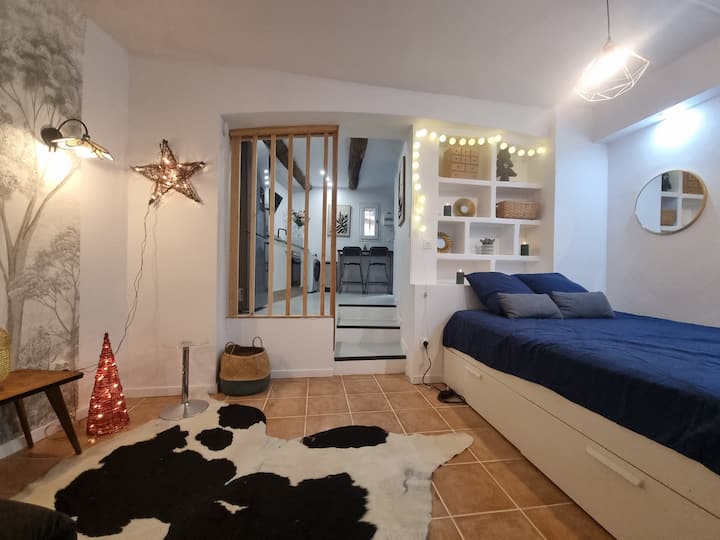 Studio Avec Cour Privative Hyper Centre De Béziers - Béziers