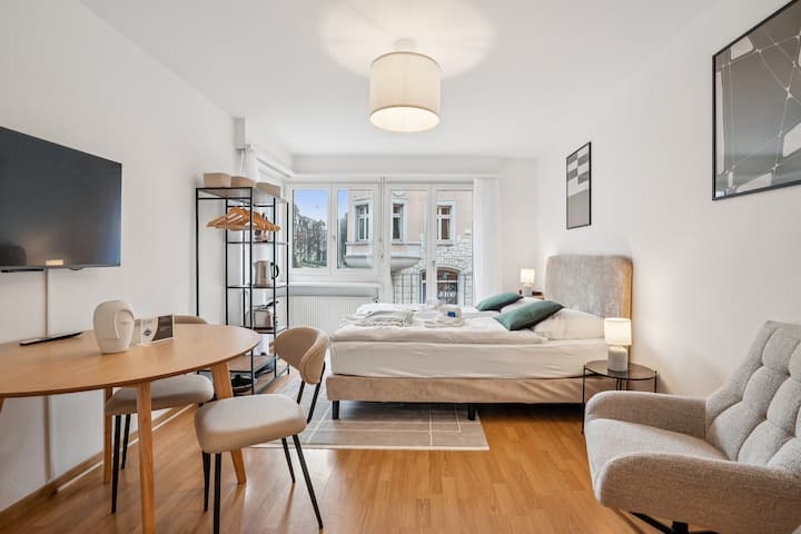 Smart Tv / Wifi / Queen Bed / City Centre - Cr 16 - Zürich