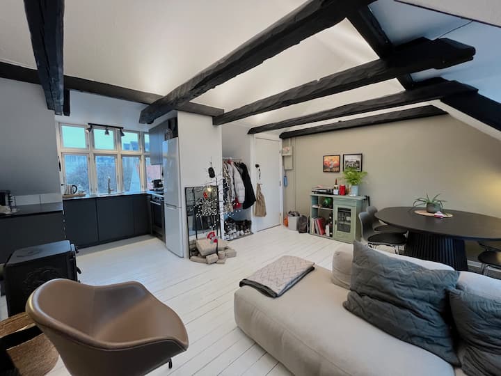 Hyggelig 3-værelses Lejlighed I Aarhus C - Aarhus