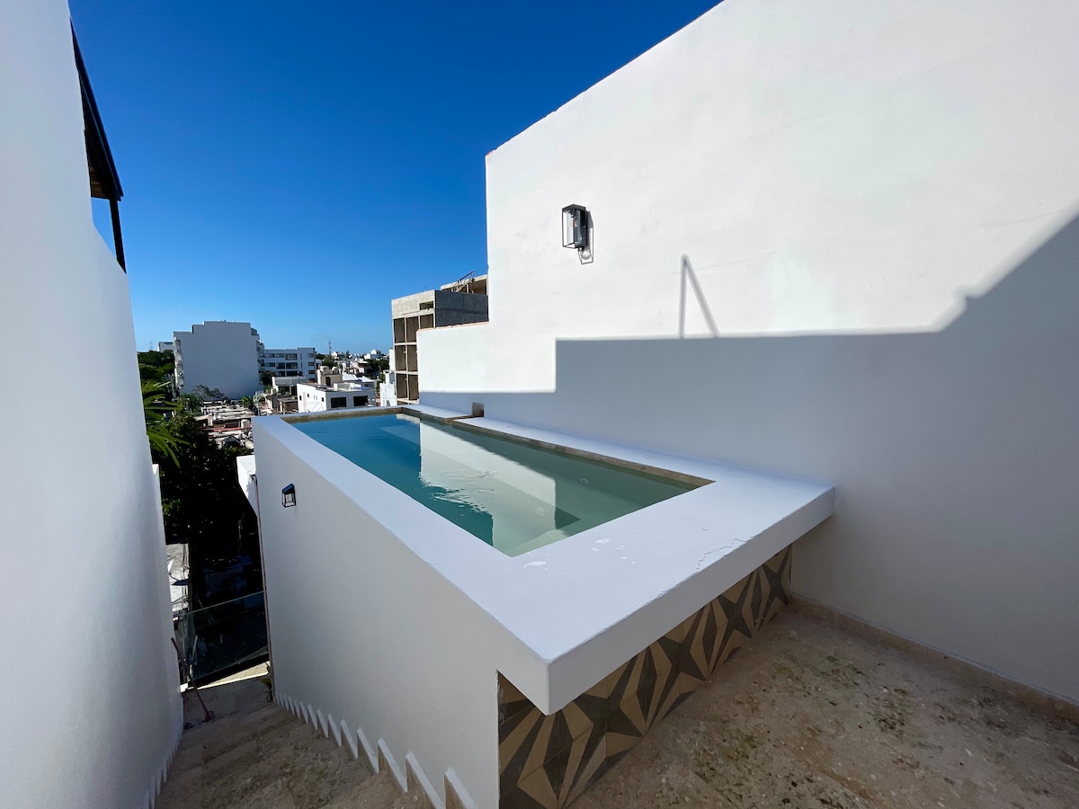 Penthouse avec piscine privée sur le toit - Appartements à louer à ...