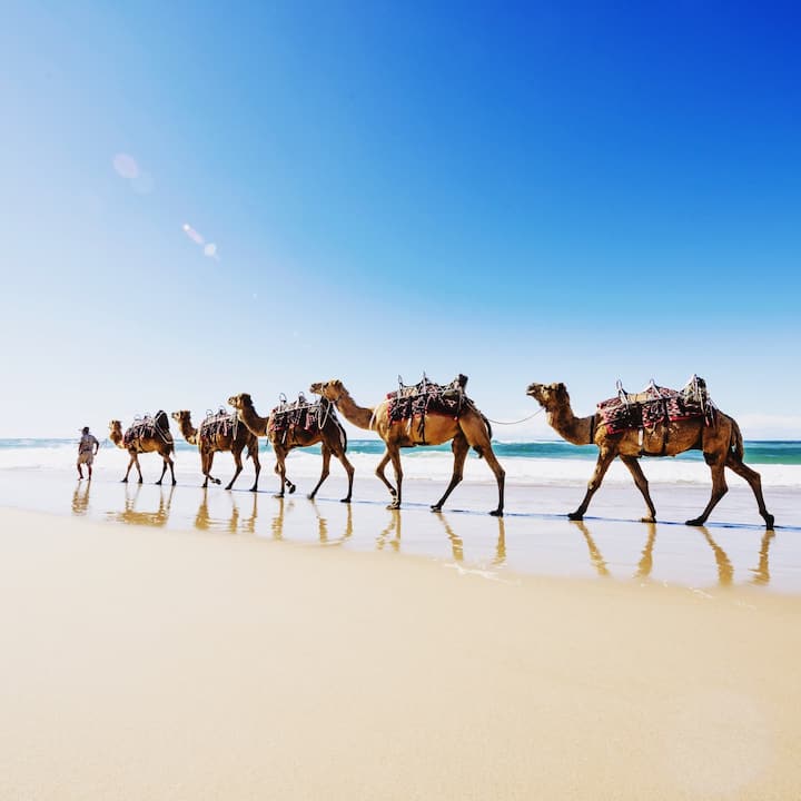 Beachside Paradise - Dent Cres Lighthouse Beach - Port Macquarie