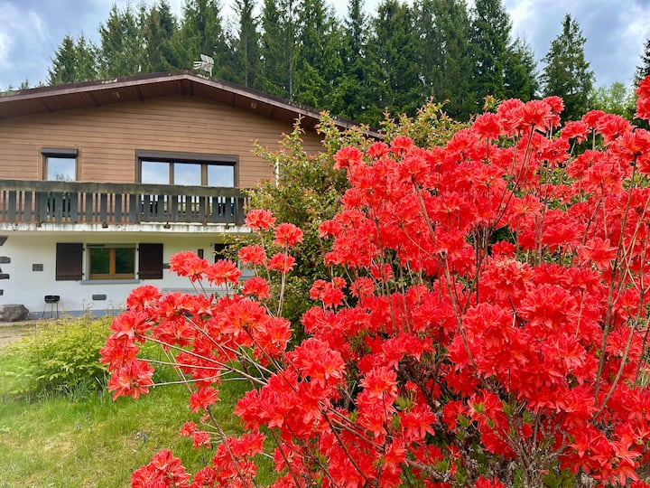 Chalet à Louer Sur Gerardmer - Vosges