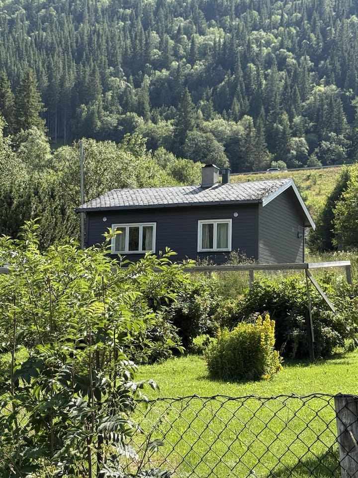 Fjord, Fjell, Fiske Og Naturopplevelser - Vang