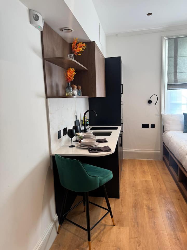 (21/f17)new Bayswater/hyde Park Studio Zone1+wi-fi - Central London