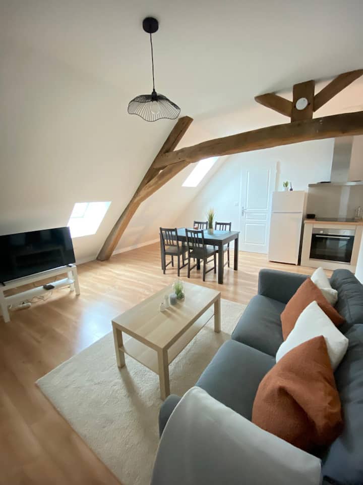 T3 Atypique Et Moderne Avec Parking Orléans Centre - Orléans