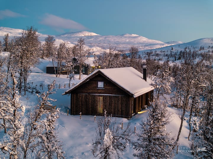 Stunning Mountain Cabin Architect-designed - Norway