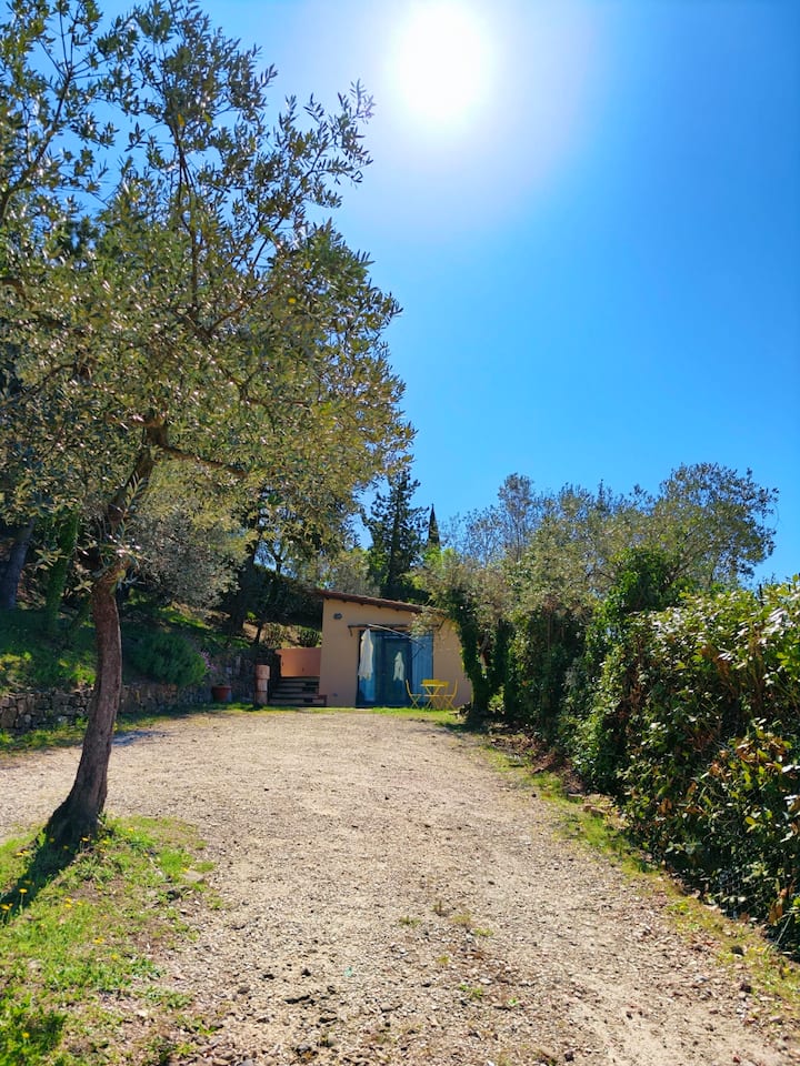 Charm Tuscan Cottage Garden Parking 15min Florence - Sesto Fiorentino