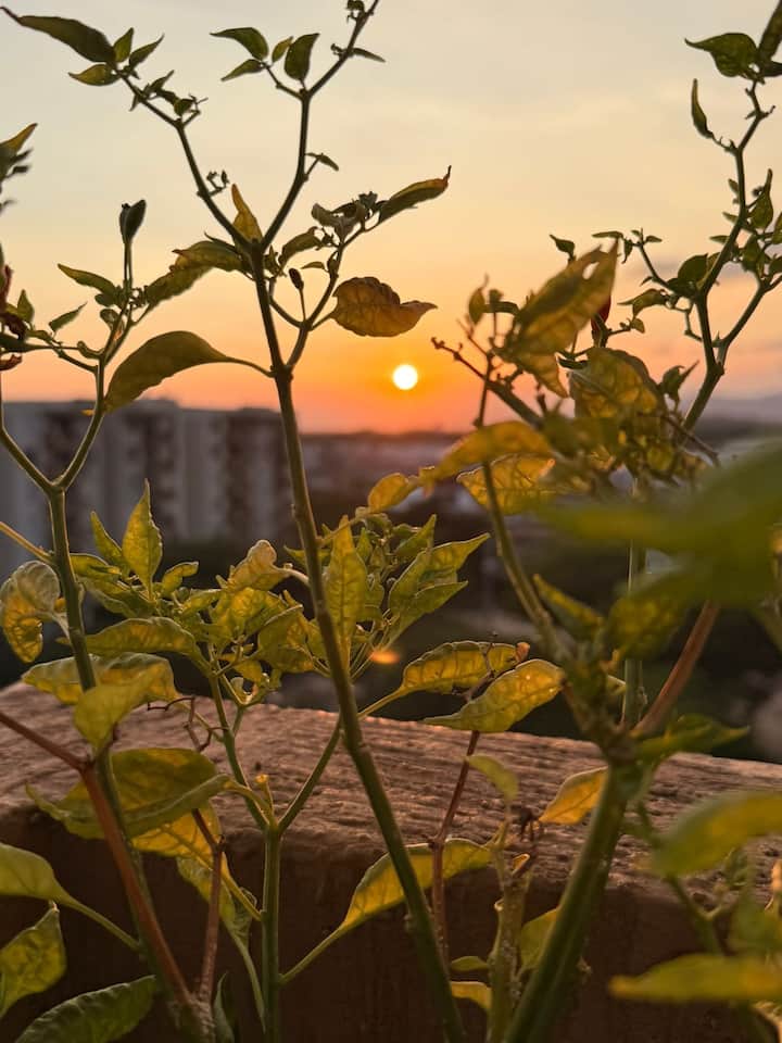 Apartamento En Ricaurte-girardot (Pet Friendly) - Ricaurte