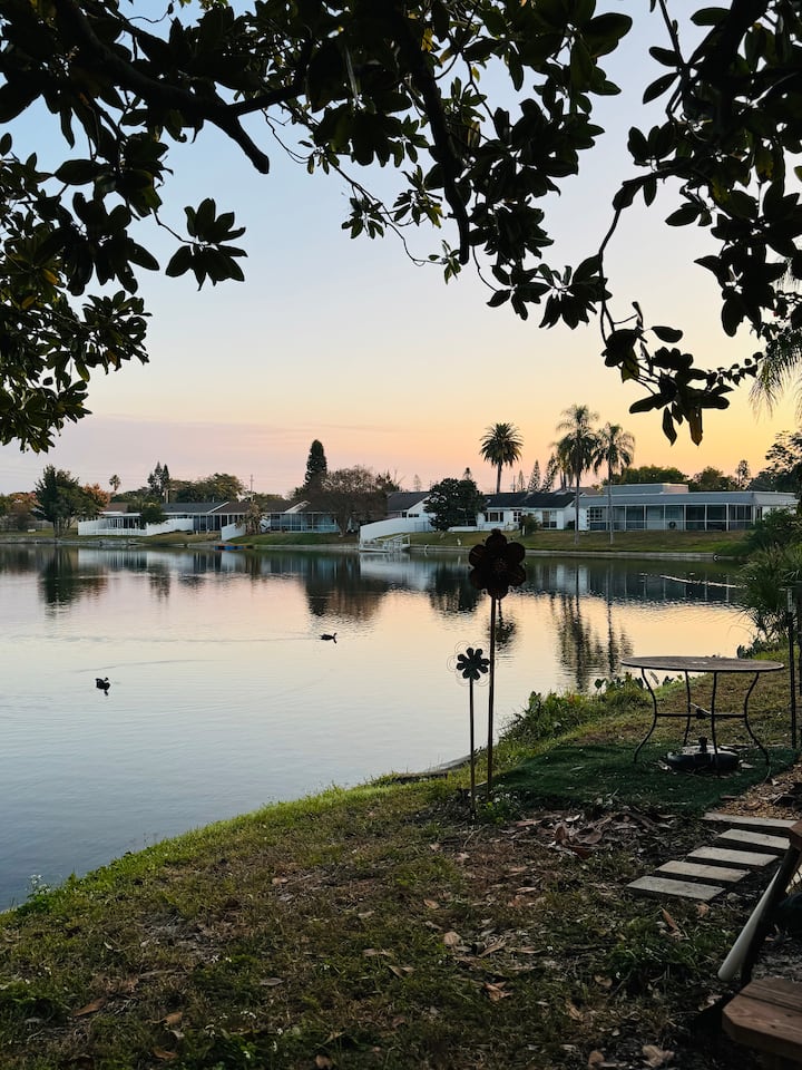 Building Nest - Holiday, FL
