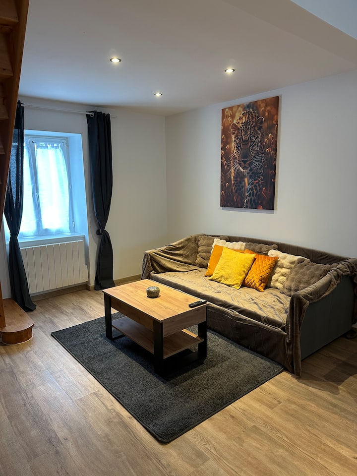 Appartement T3 2 Chambres - Thoissey