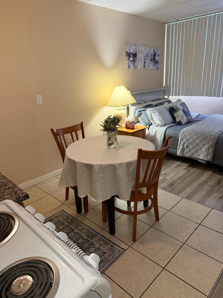 Lux*studio*ann Arbor*walk To U-m - Ann Arbor, MI