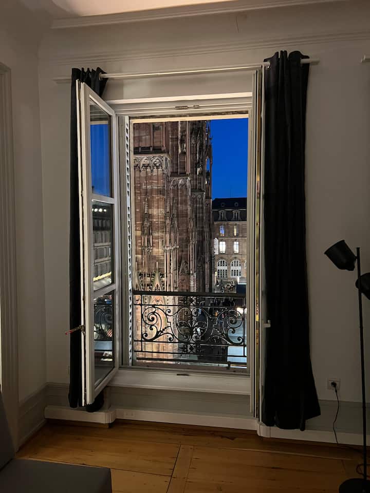 Les Aristocaths
Vue Cathédrale - Strasbourg