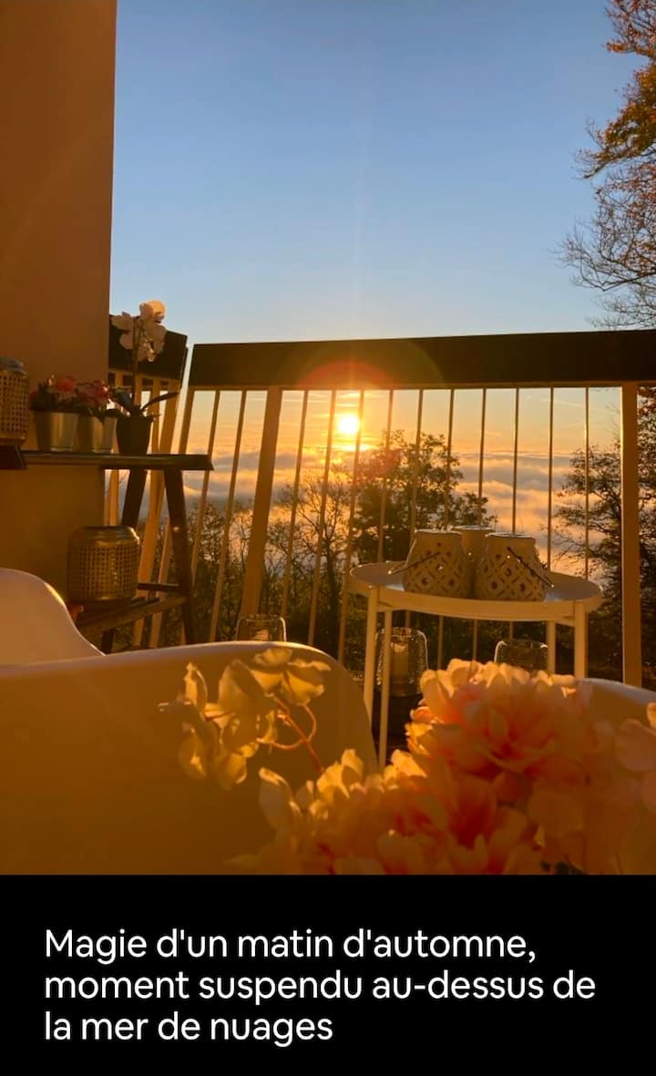 Gîte 3 éToiles - Vue Panoramique - Turckheim