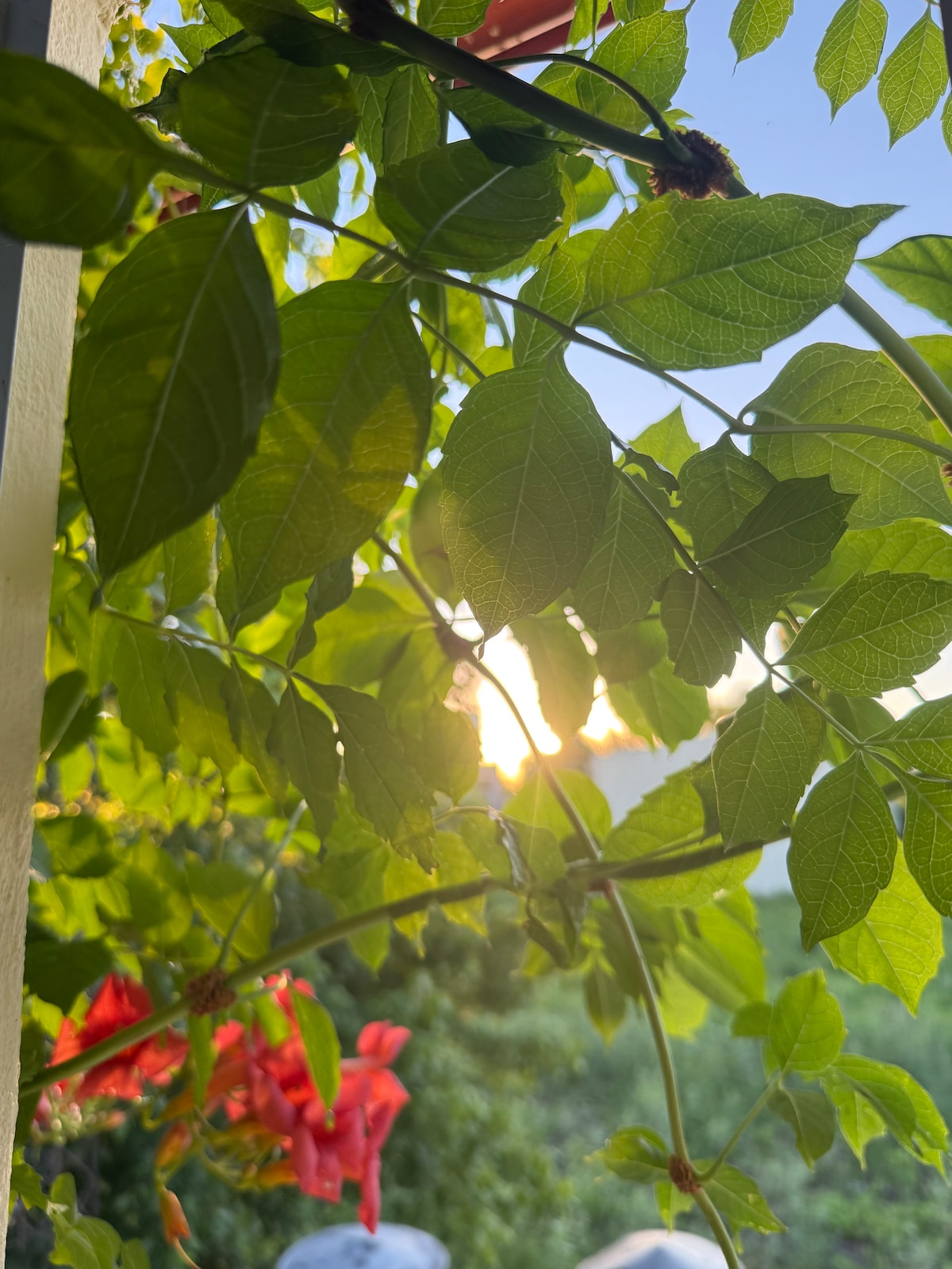 La Buena Fortuna Accommodation in Colón Entre Ríos - Apartments for ...