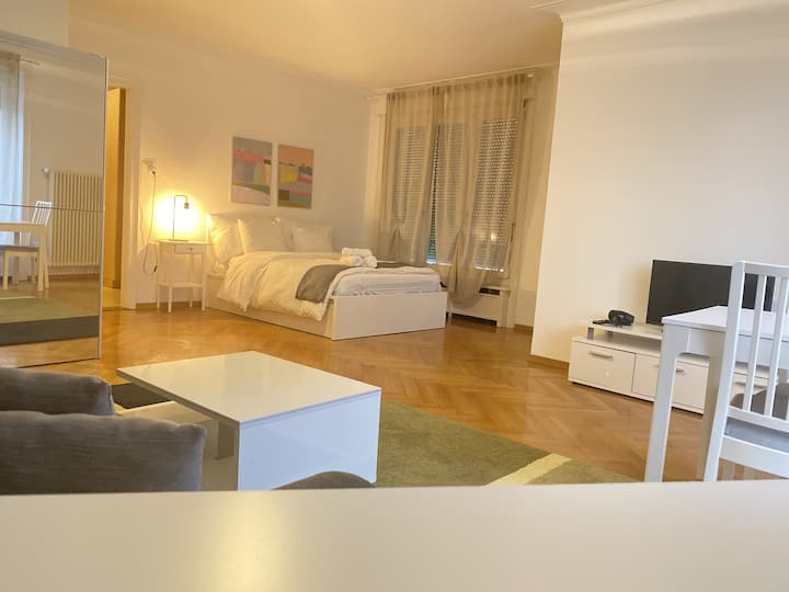 Bright & Fully Furnished Flat In Lausanne - Lausanne